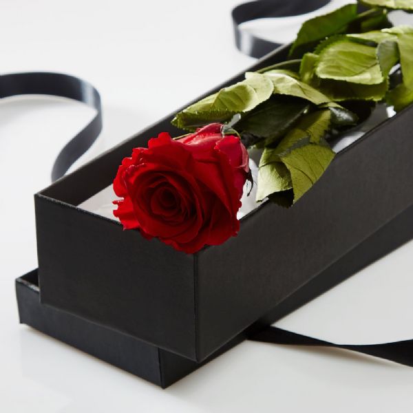 Envío de flores a domicilio a toda España - Diseloconrosas.com
